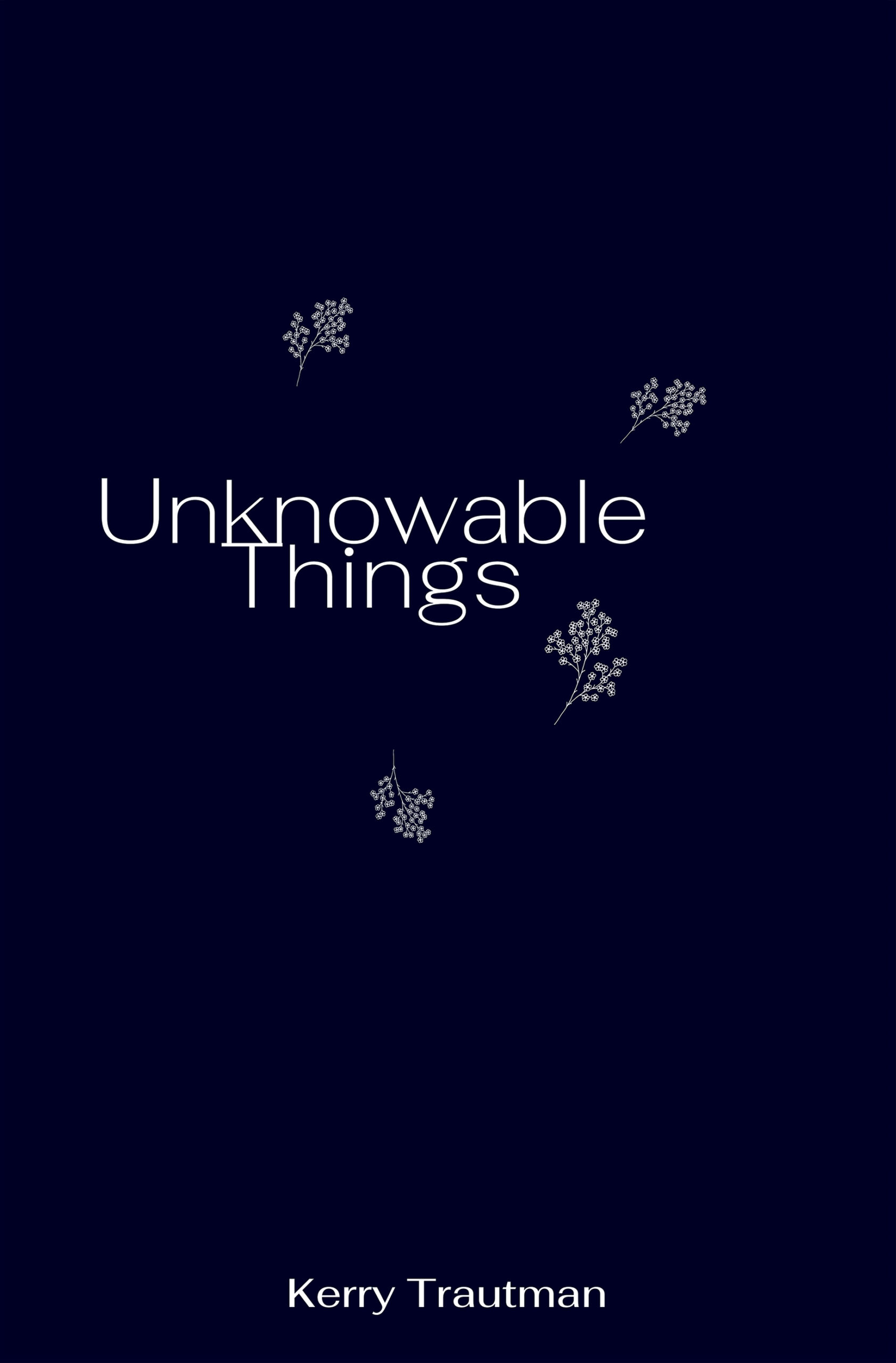 Review by Sandra Feen: Unknowable Things by Kerry Trautman - Roadside Press