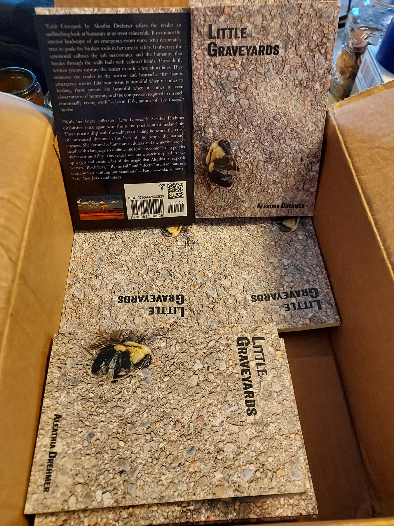 LITTLE GRAVEYARDS by Aleathia Drehmer reviewed by Alan Catlin ...